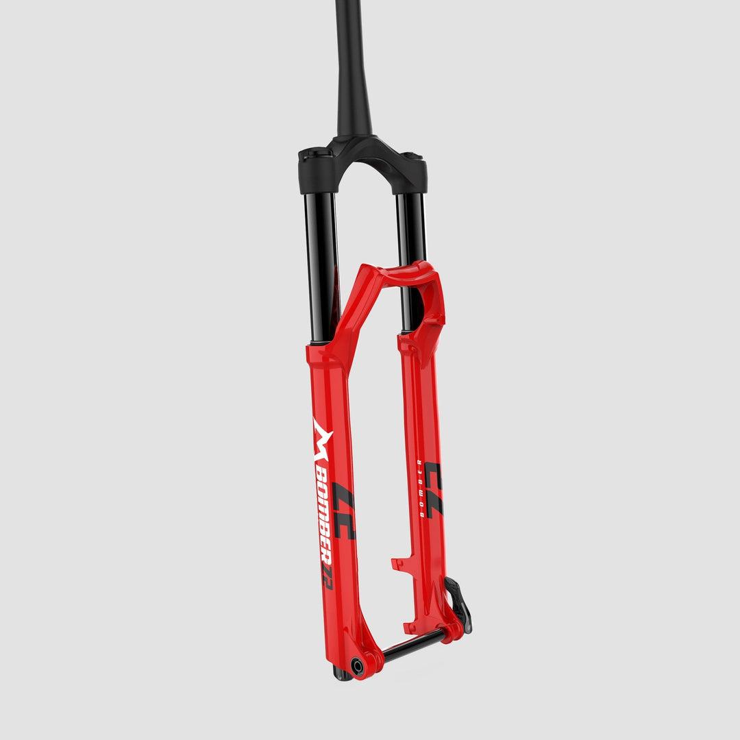 Compra tu Siguiente Bicicleta en Línea con MSI en Import Bike México